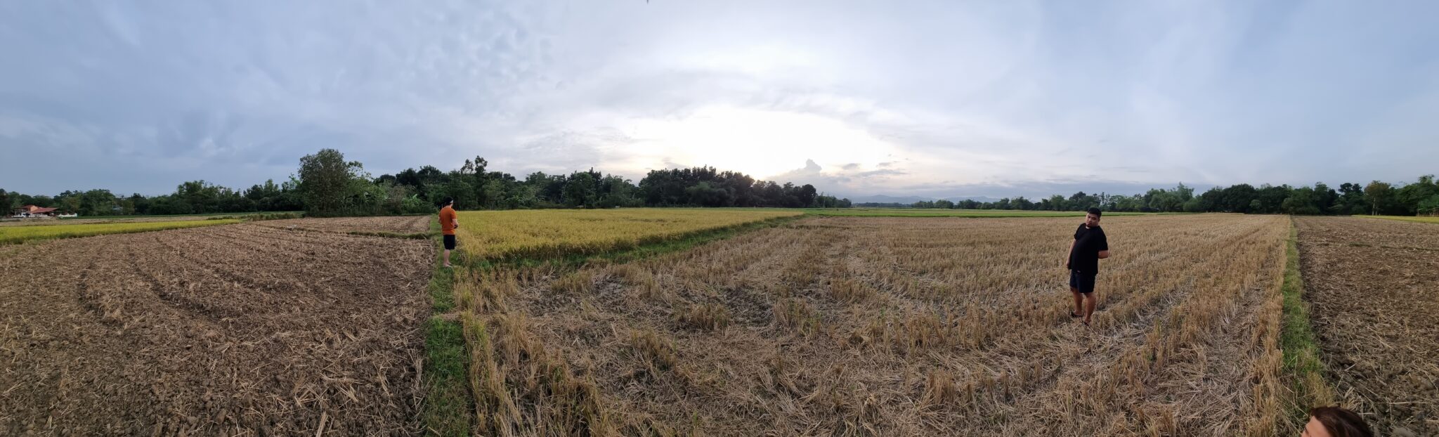Things to do in Mangatarem Pangasaninan - litraturista